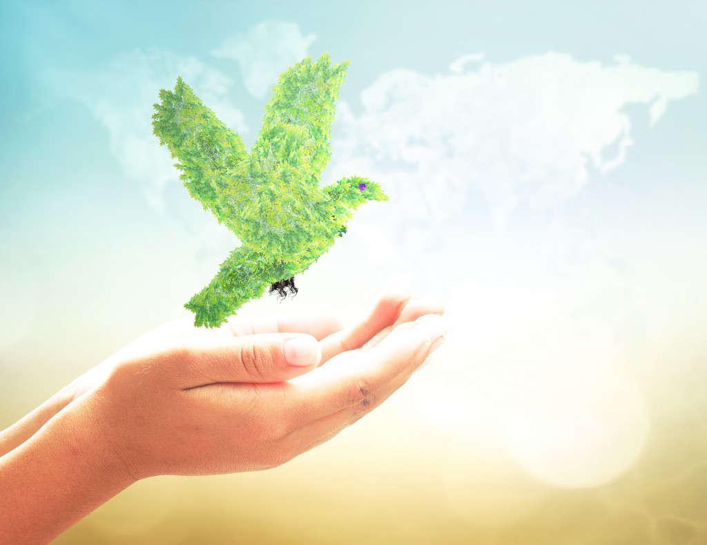 Life Continues after COVID-19: The Changes that May Come Soon - Gabrielle's